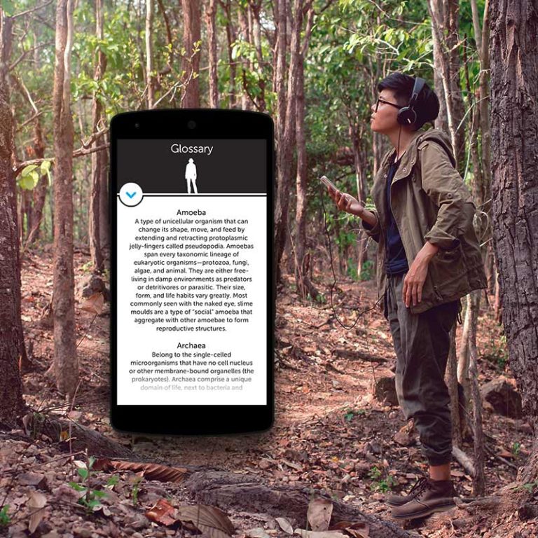 Deep Time Walk - a 4.6bn year Earth history and geological timeline